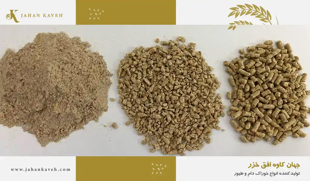 Mash, Crumble, or Pellet Feed? Making the Smart Choice for Your ...