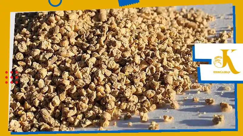 Mash, Crumble, or Pellet Feed? Making the Smart Choice for Your ...