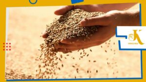 Broiler Feed Consumption Guide: Feed Intake Chart, Weight Gain, and ...