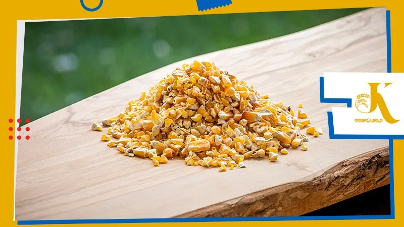 How to Make Chicken Feed: A Complete Guide to Materials and Equipment ...