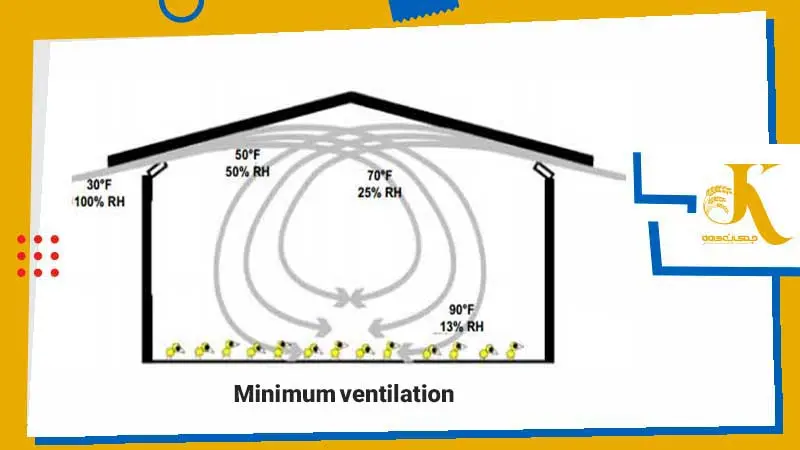 Poultry Ventilation System: Fan Types and Ventilation in Poultry ...
