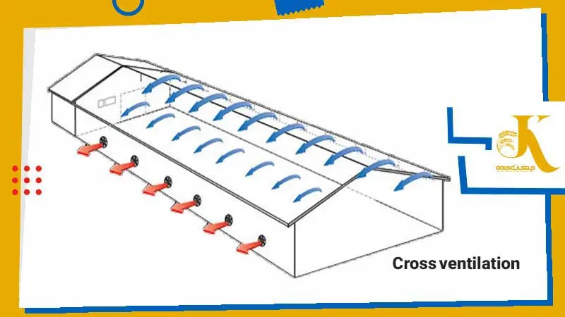 Poultry Ventilation System: Fan Types and Ventilation in Poultry ...