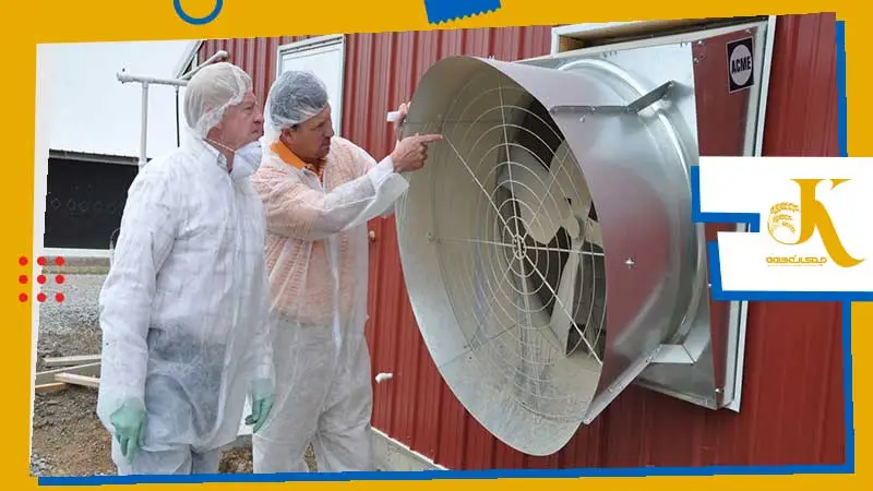 Poultry House Preparation: 7 Steps to Cleaning and Disinfecting Broiler ...