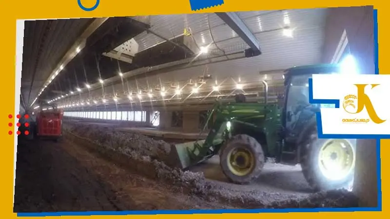 Poultry House Preparation: 7 Steps to Cleaning and Disinfecting Broiler ...