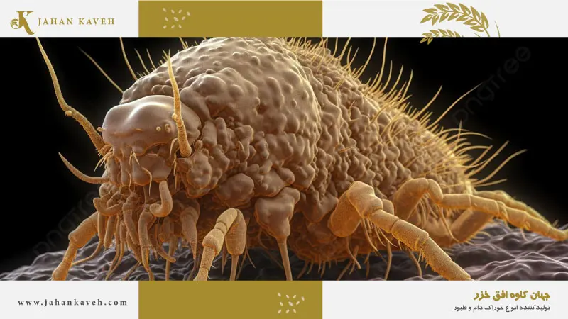 Comprehensive Guide to Cattle Mite Infestation: Livestock Scabies ...