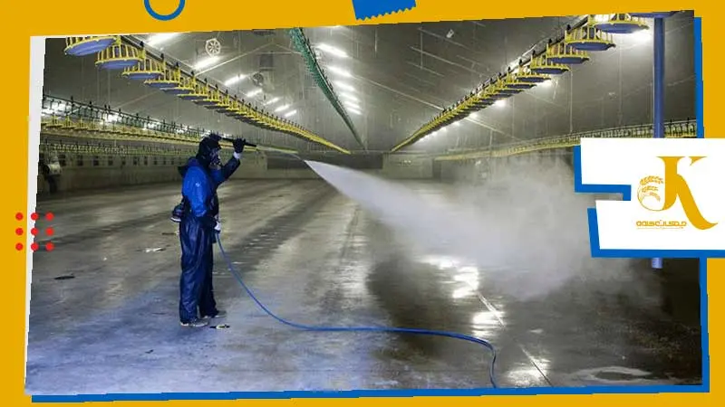 Poultry House Preparation: 7 Steps to Cleaning and Disinfecting Broiler ...
