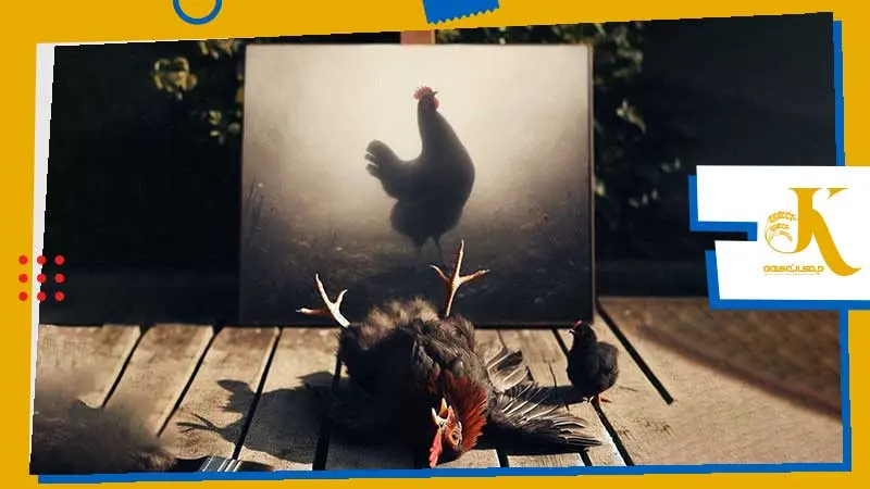 Sudden Death Syndrome (SDS) in Broiler Chickens - جهان کاوه